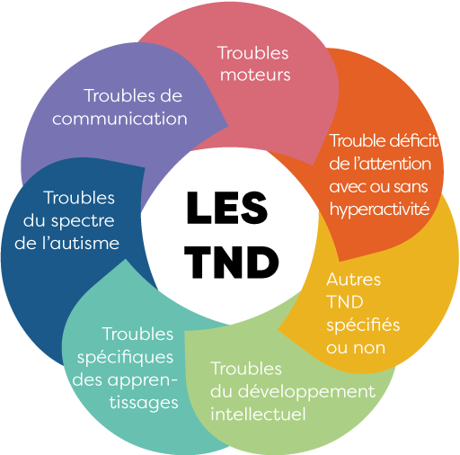 Les TND Haudegond jospin cécile psychologue psychothérapeute TECC Lannion